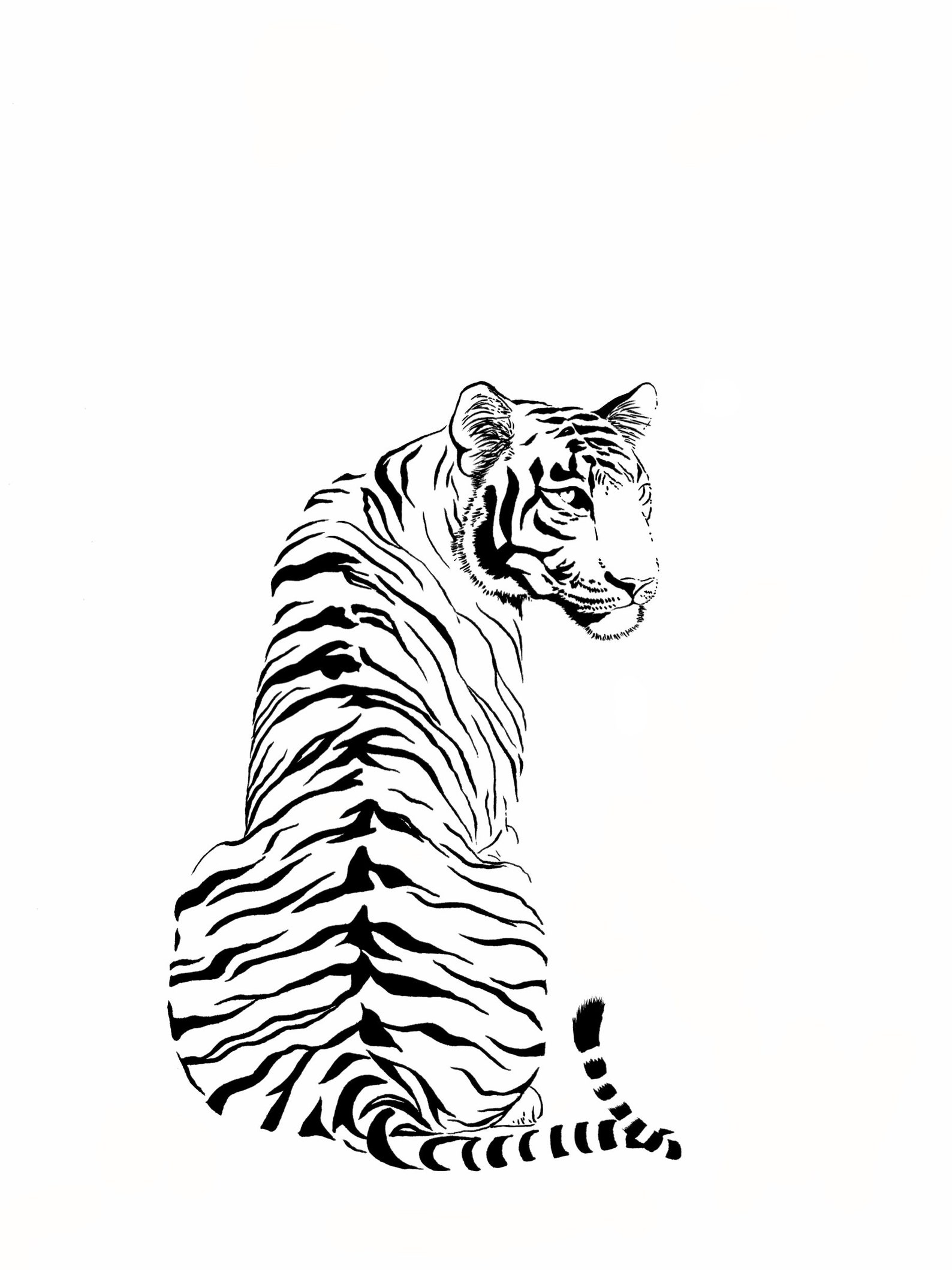 Tyra (tiger Print With Black Trimmed A4 Mount) - Etsy