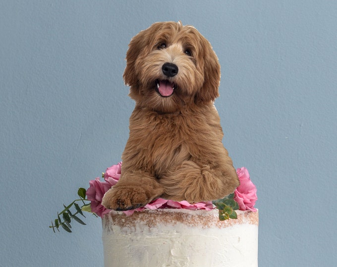 Goldendoodle Cake Topper, Doodle Cake Topper, Golden Doodle Party ...