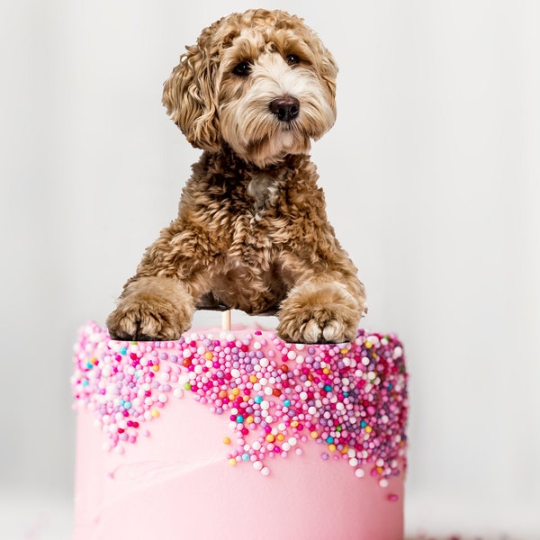 Dog Cake Topper - Etsy