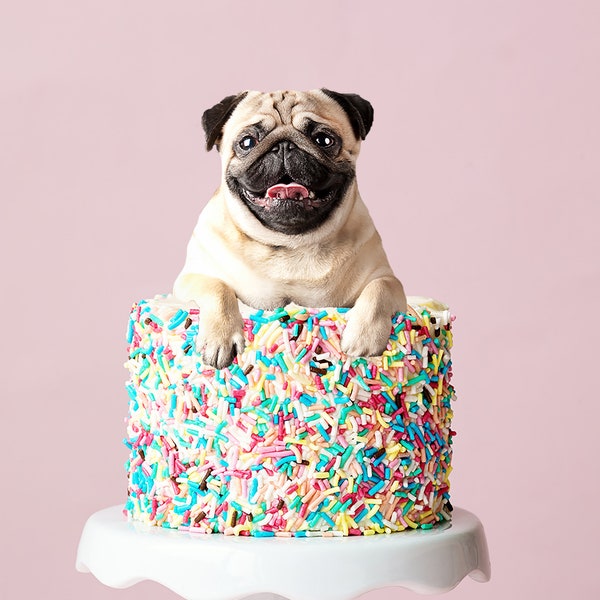 Pug Cake Topper - Etsy