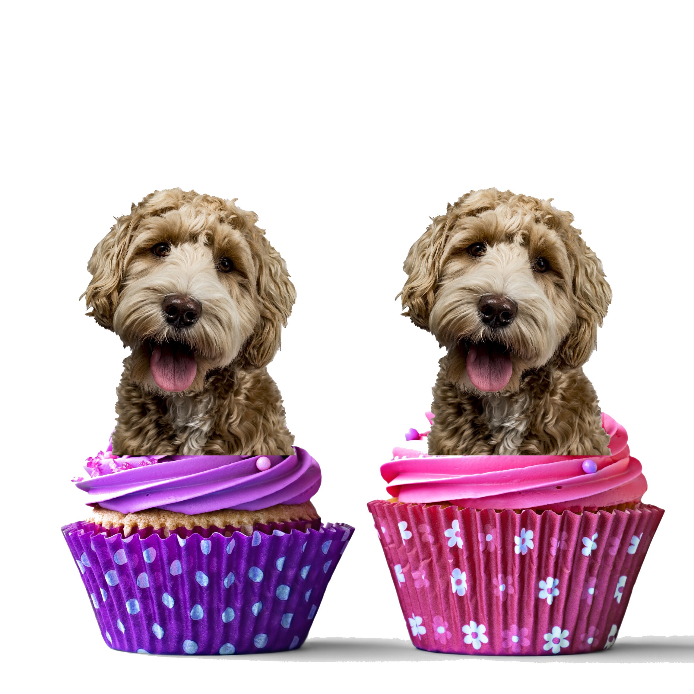 Labradoodle Cupcake Toppers Labradoodle Cupcakes Doodle | Etsy