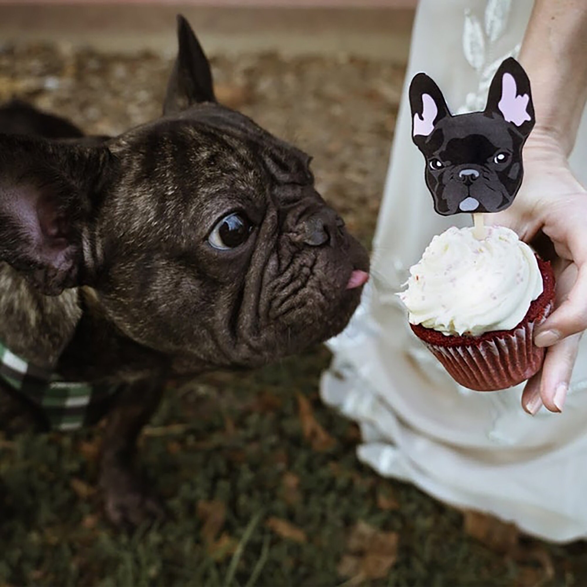 French Bulldog Cupcake Toppers 12 Qty - Etsy