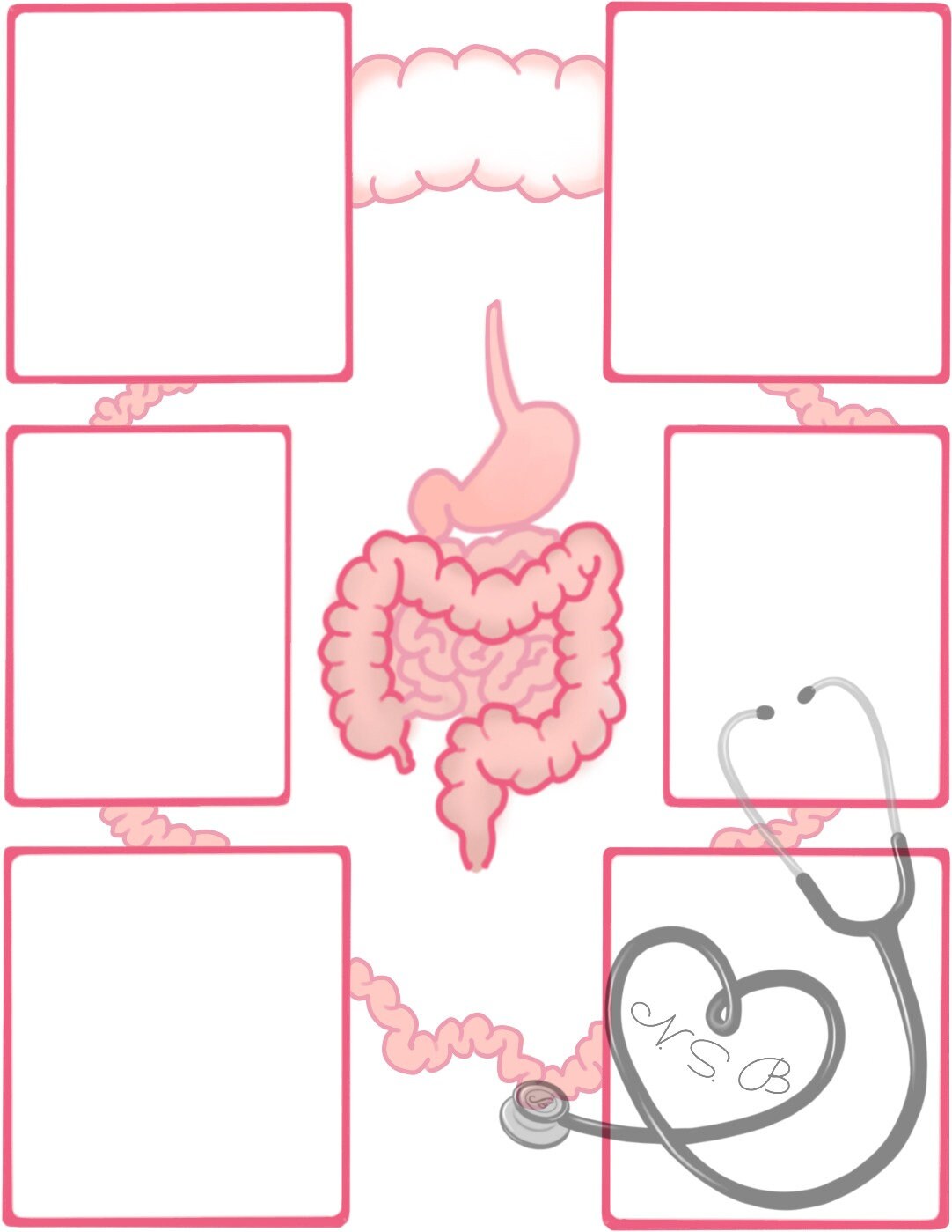 gi-digestive-system-mind-map-template-for-nursing-school-nclex-etsy