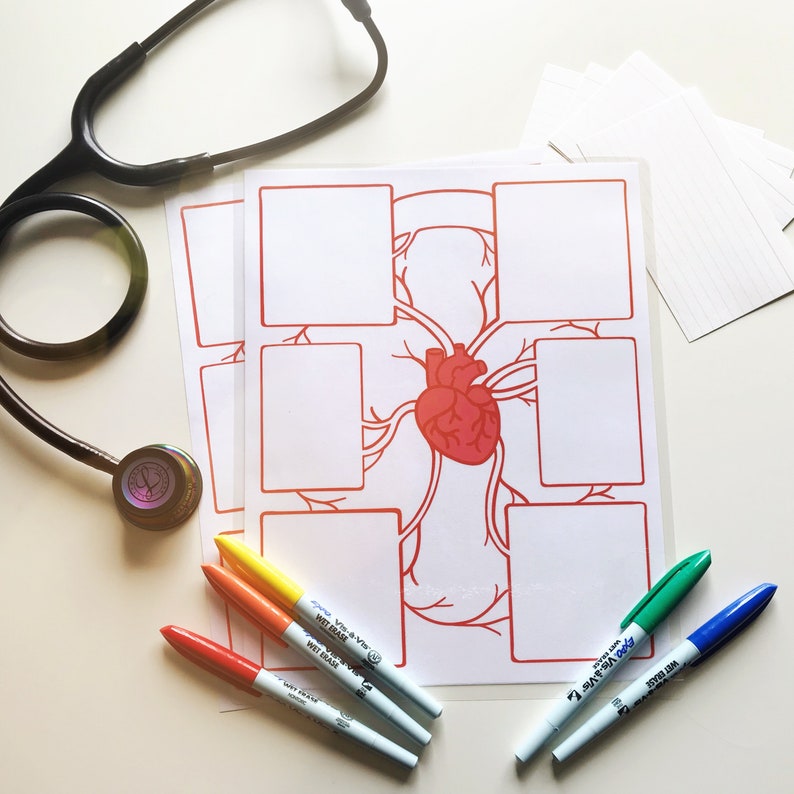 Cardiovascular System Mind Map Template for Nursing School Note Taking ...