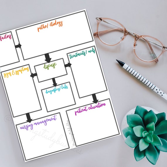 Patho and Medsurg Mind Map Guide Color | Etsy