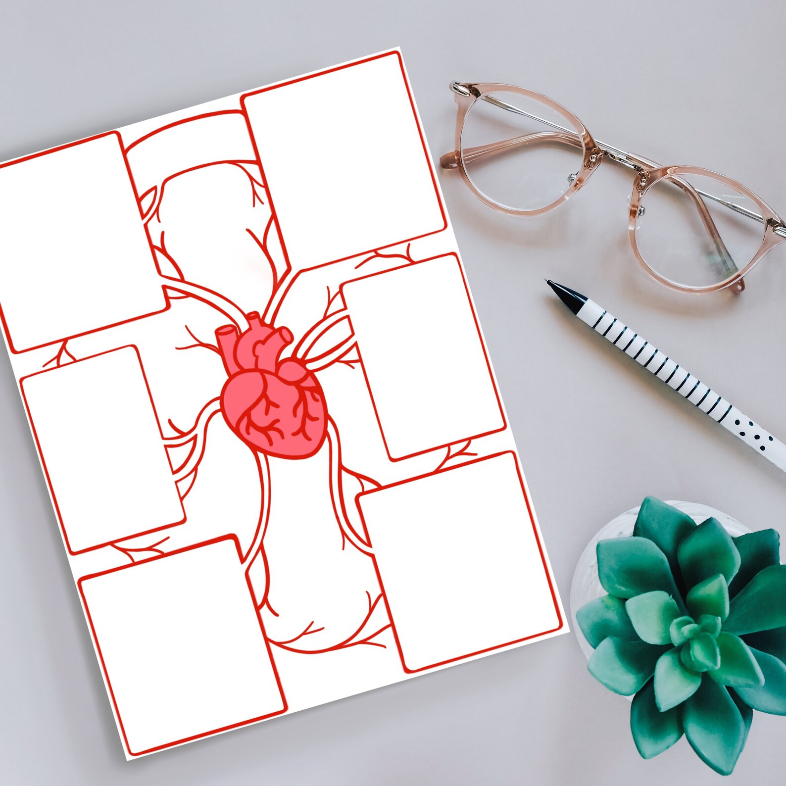 Cardiovascular System Mind Map Template for Nursing School Note Taking ...