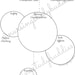 Pharmacology Circle Mind Map Updated (2 Pages) - Etsy