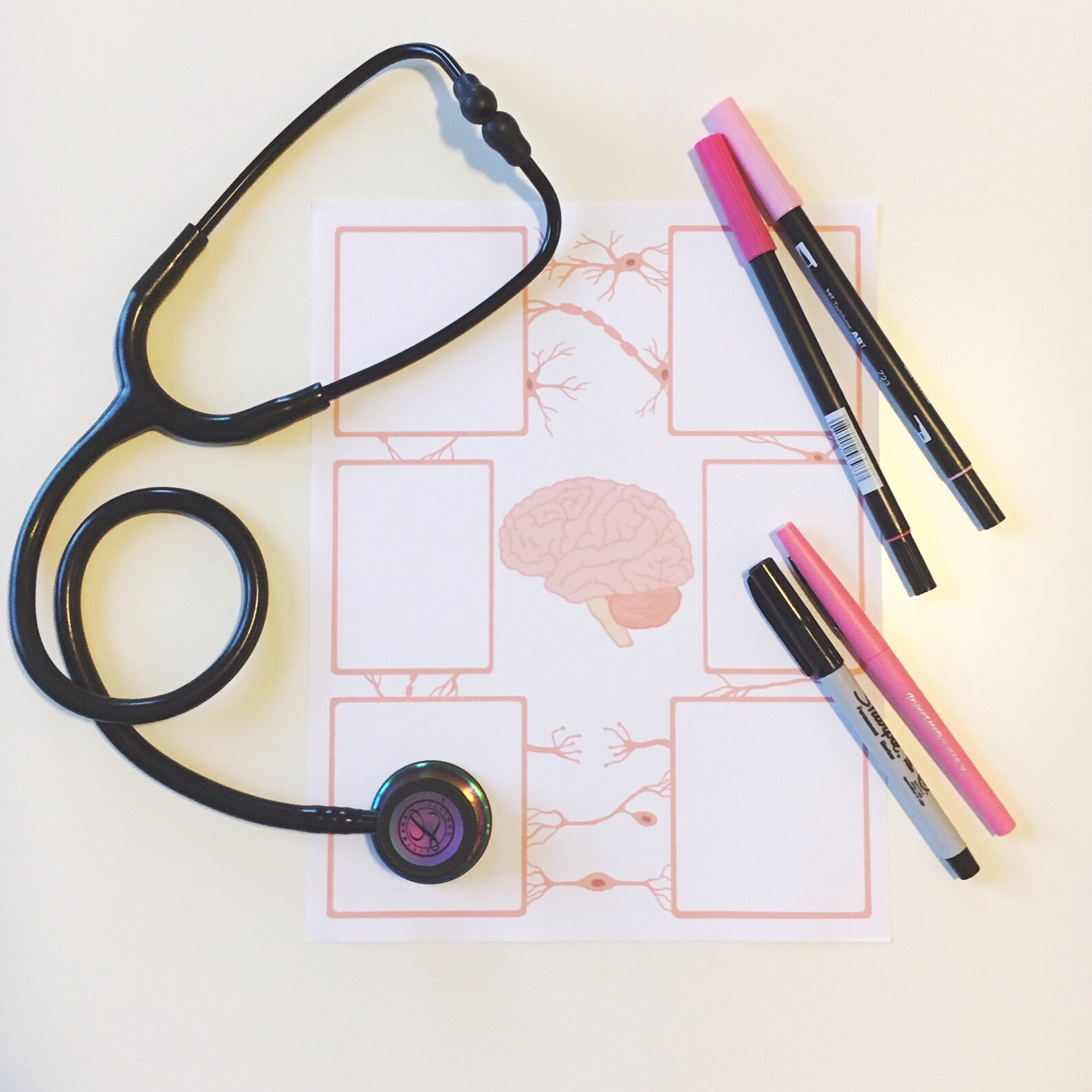 Brain Neuro Mind Map Template for Nursing School Note Taking - Etsy