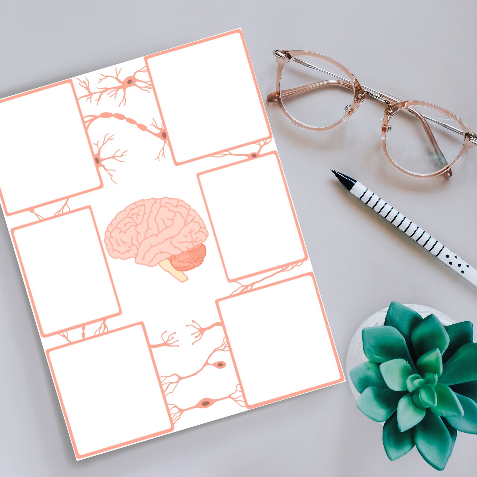 Brain Neuro Mind Map Template for Nursing School Note Taking - Etsy