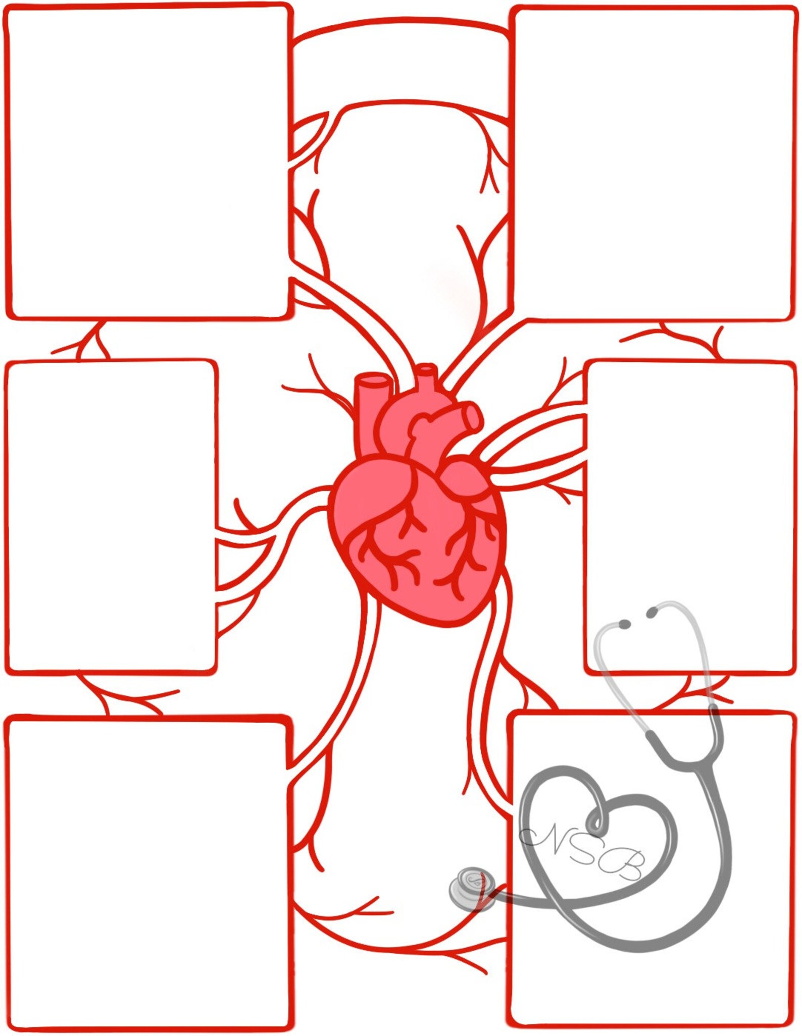 Anatomy Mind Map Combo Pack of 7 Pages - Etsy