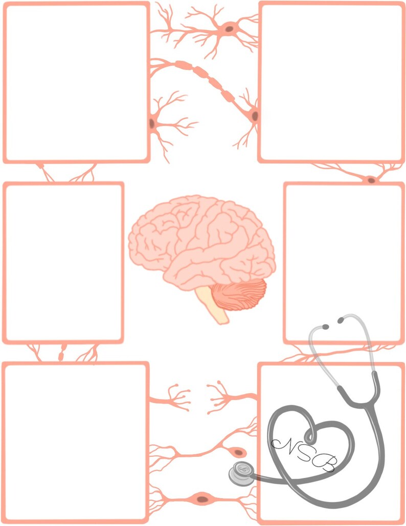 Brain Neuro Mind Map Template for Nursing School Note Taking - Etsy