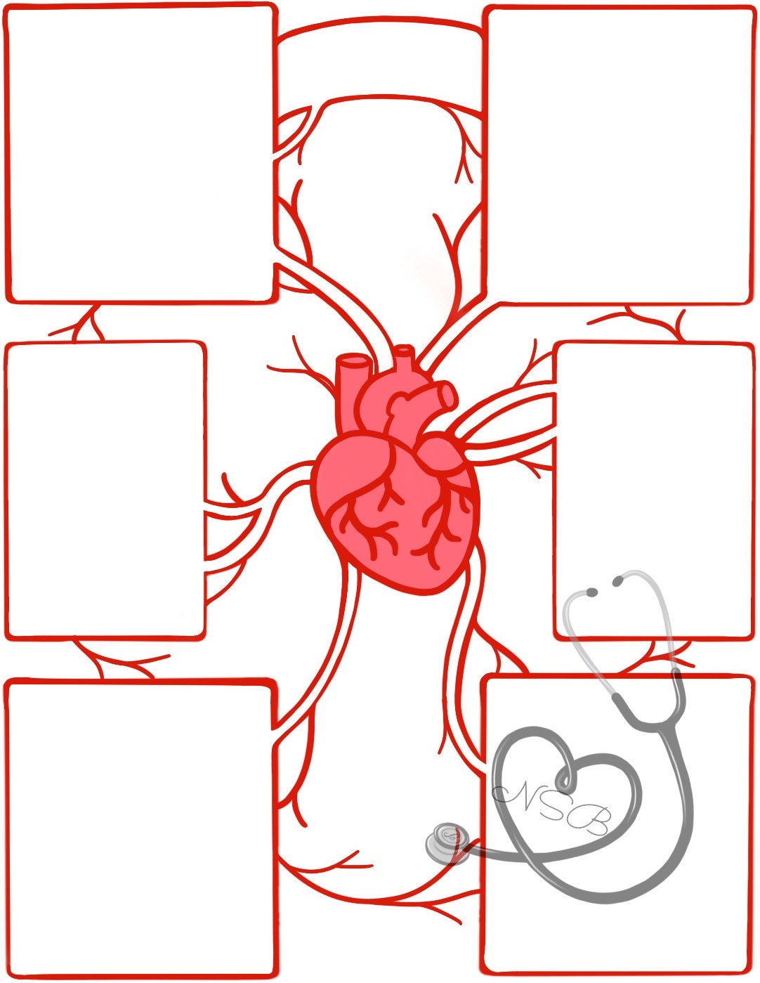 Cardiovascular System Mind Map Template for Nursing School | Etsy