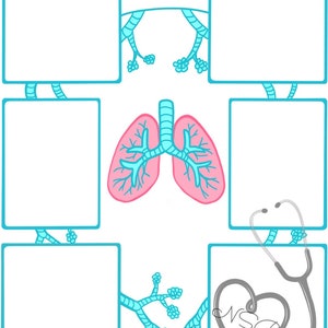 Anatomy Mind Map Combo Pack of 7 Pages - Etsy