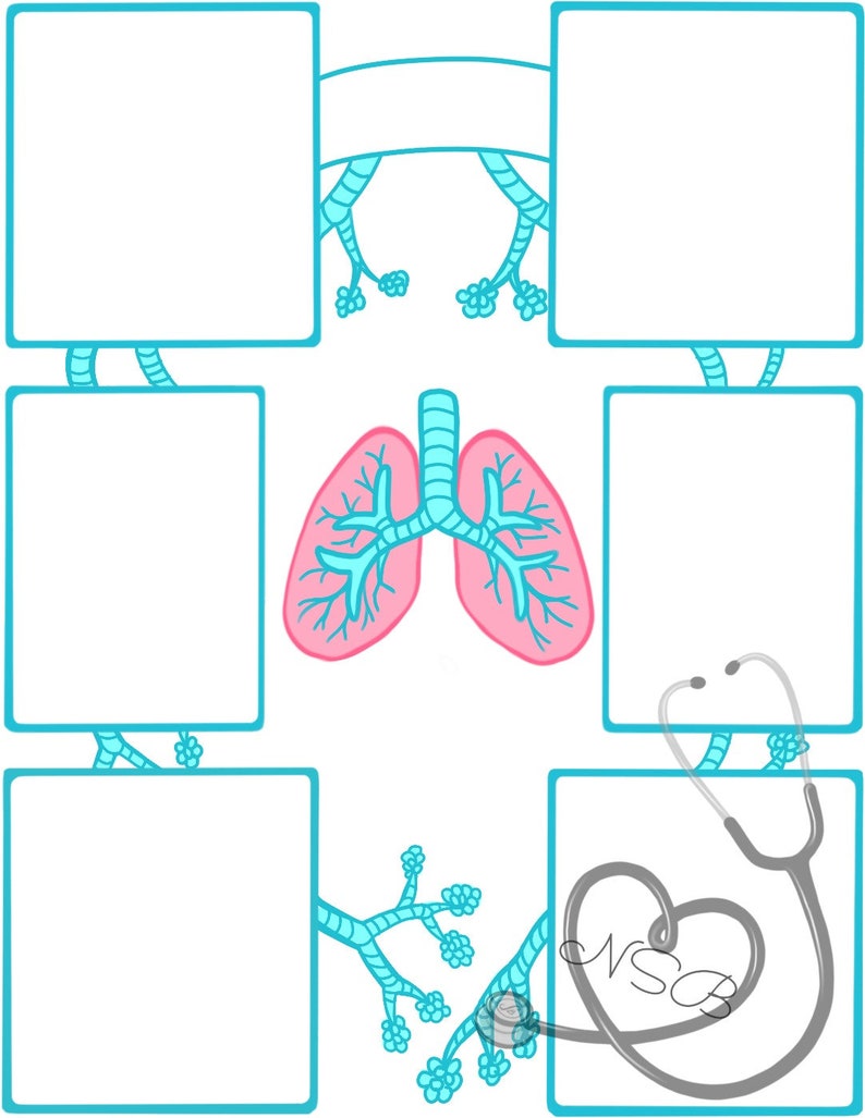 Anatomy Mind Map Combo Pack of 7 Pages | Etsy