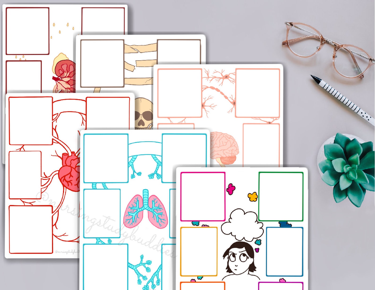 Anatomy Mind Map Combo Pack of 7 Pages | Etsy