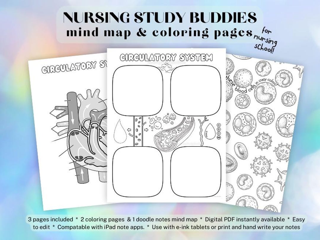 Anatomy Study Kit: Circulatory Doodle Notes - Etsy