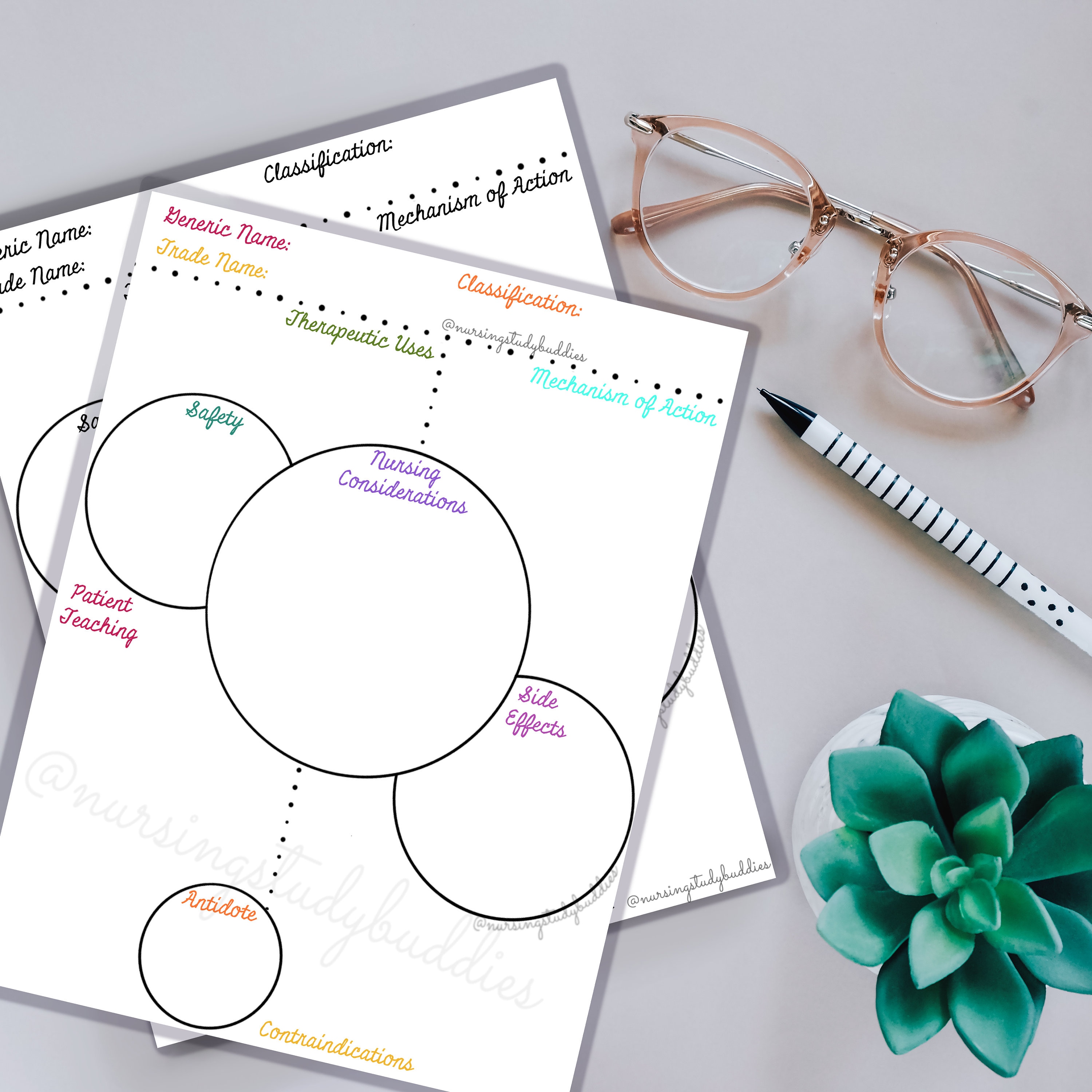 Pharmacology Circle Mind Map Updated 2 Pages - Etsy