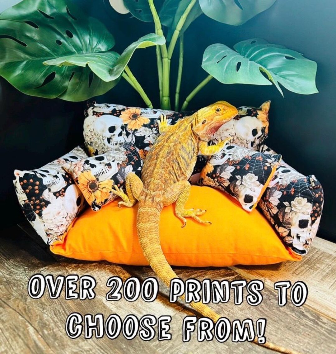 Couches…bearded Dragon/reptile/small Animal - Etsy