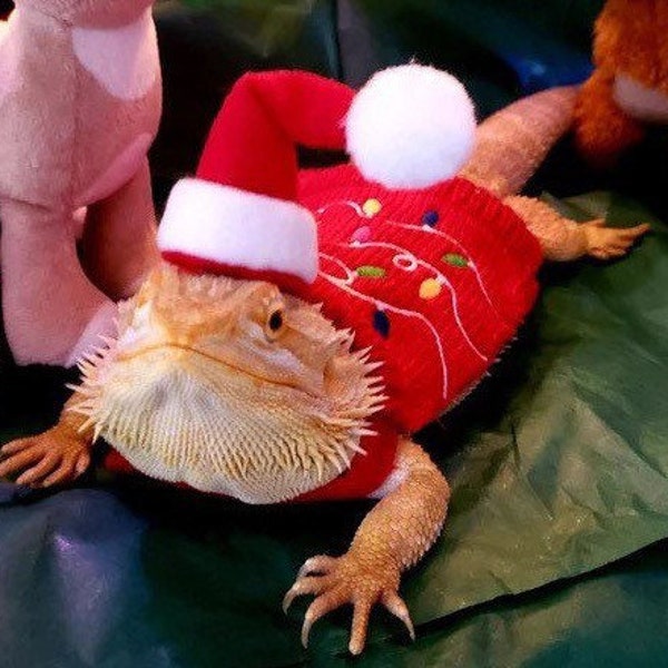 Bearded Dragon Sweater - Etsy