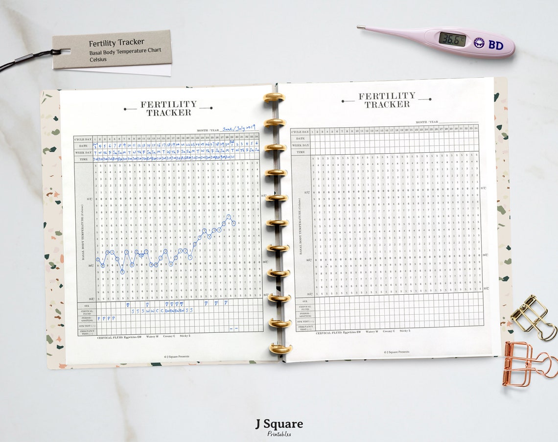 Printable Fertility Tracker, Basal Body Temperature Chart, Health ...