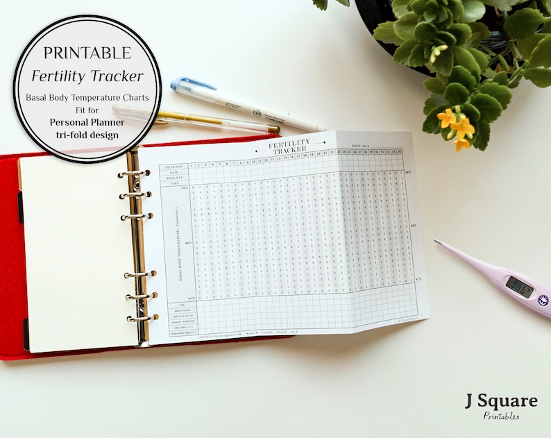 Printable Fertility Tracker Horizontal Layout, Personal Planner Refill ...