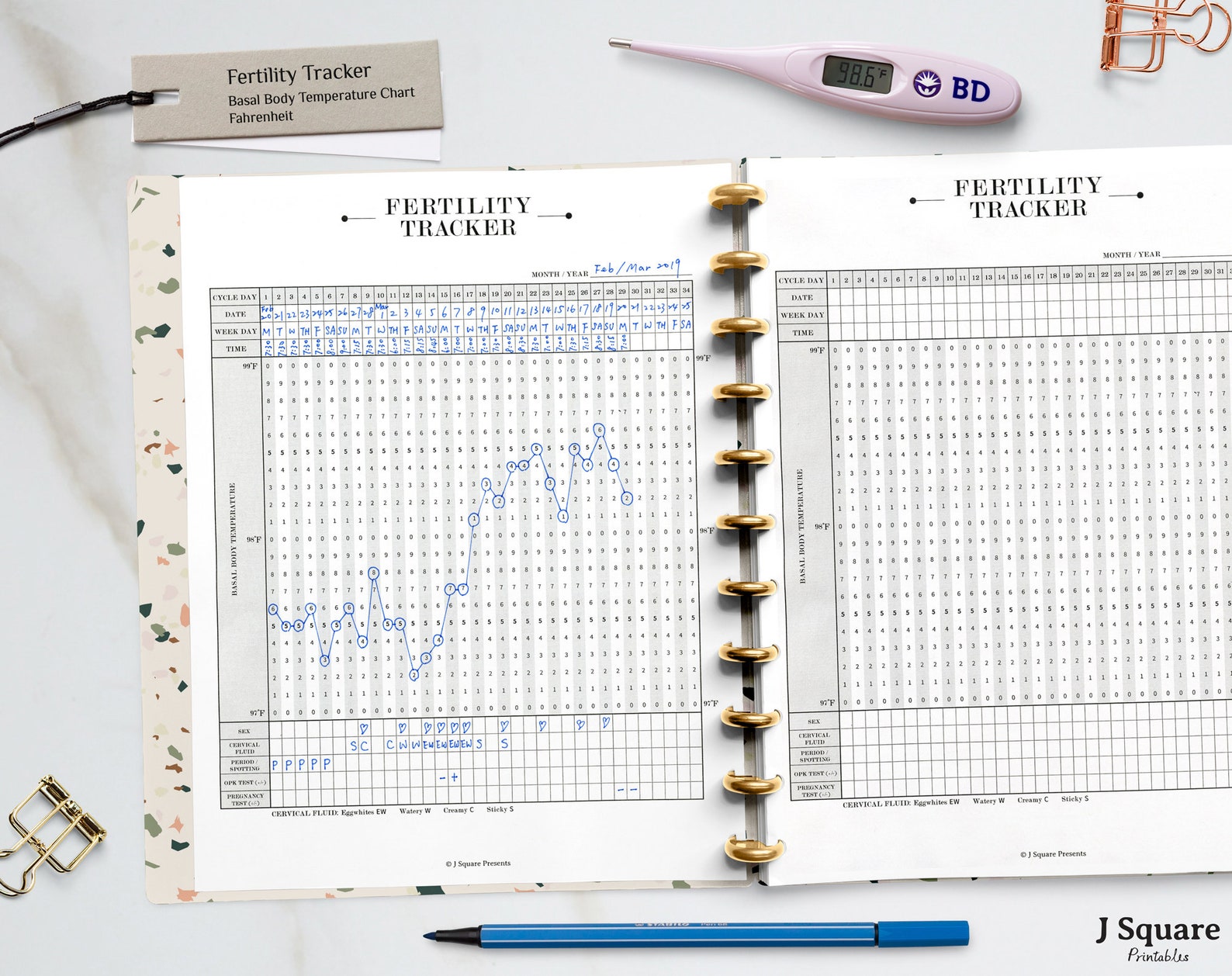 Printable Fertility Tracker, Basal Body Temperature Chart, Health ...
