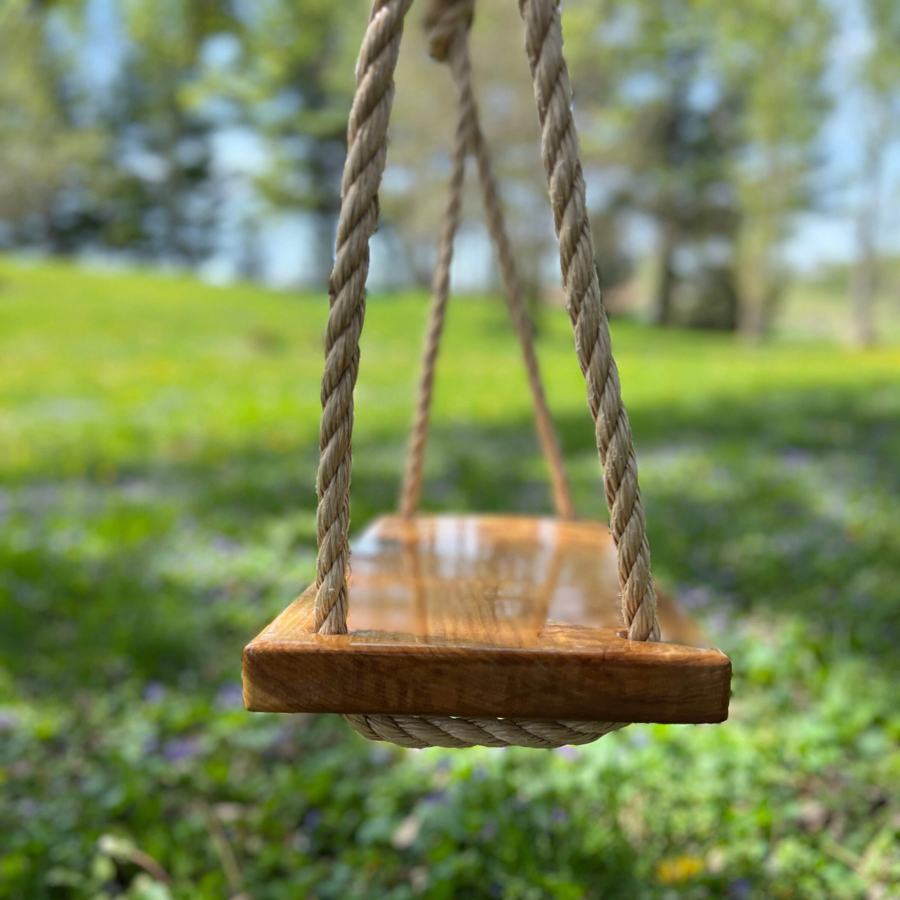 Rope Tree Swing Oak