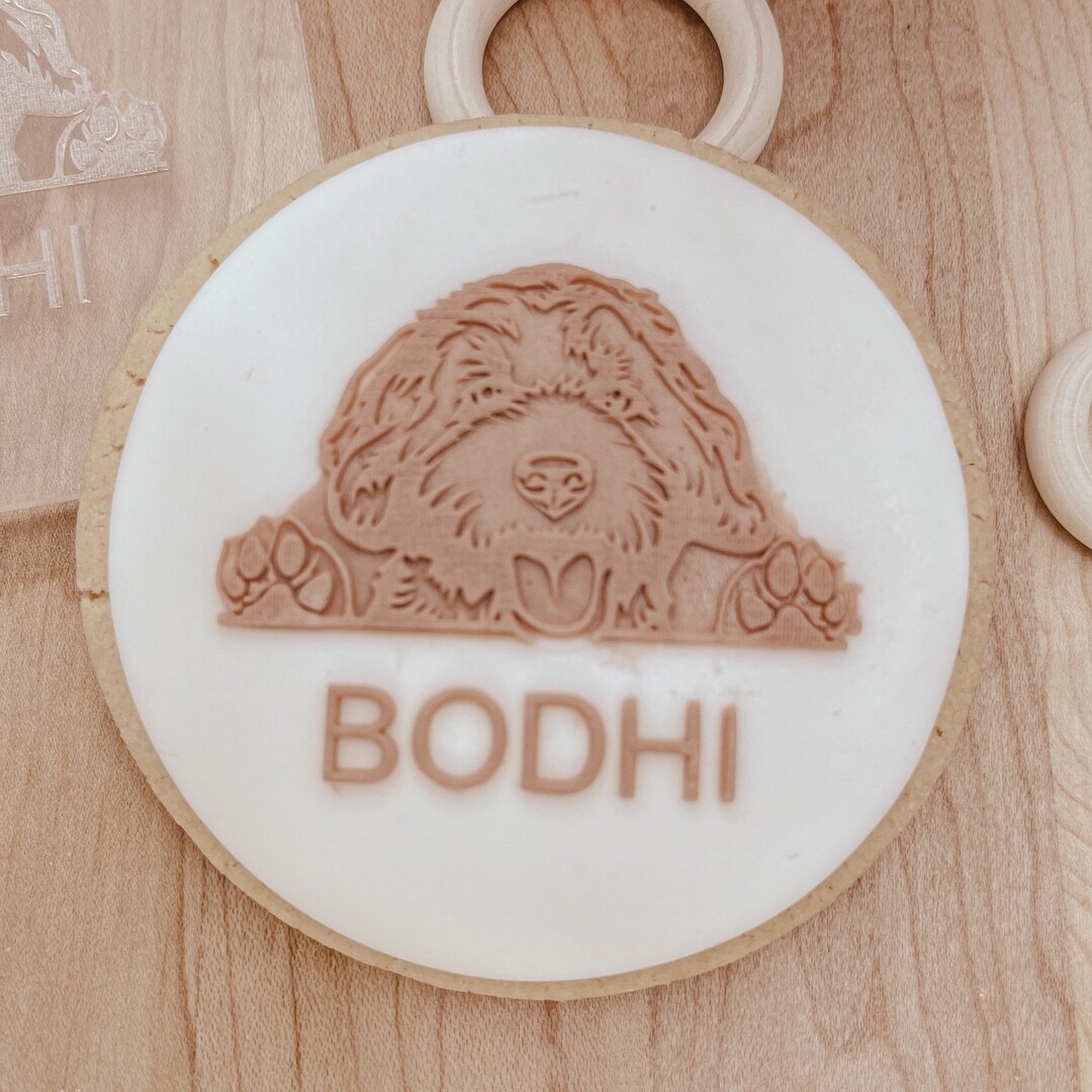 Doodle, Goldendoodle, Labradoodle, Bernadoodle, Schnoodle, Cockapoo ...