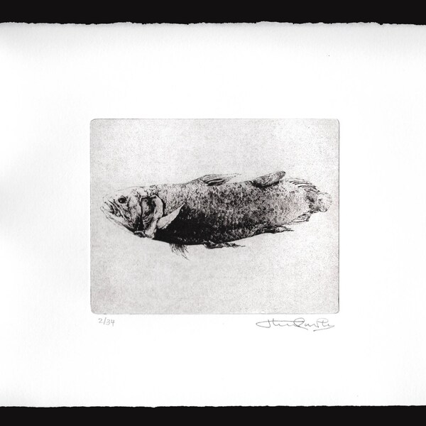 Coelacanth - Etsy Canada