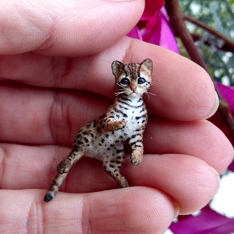 Miniature Cats - Etsy