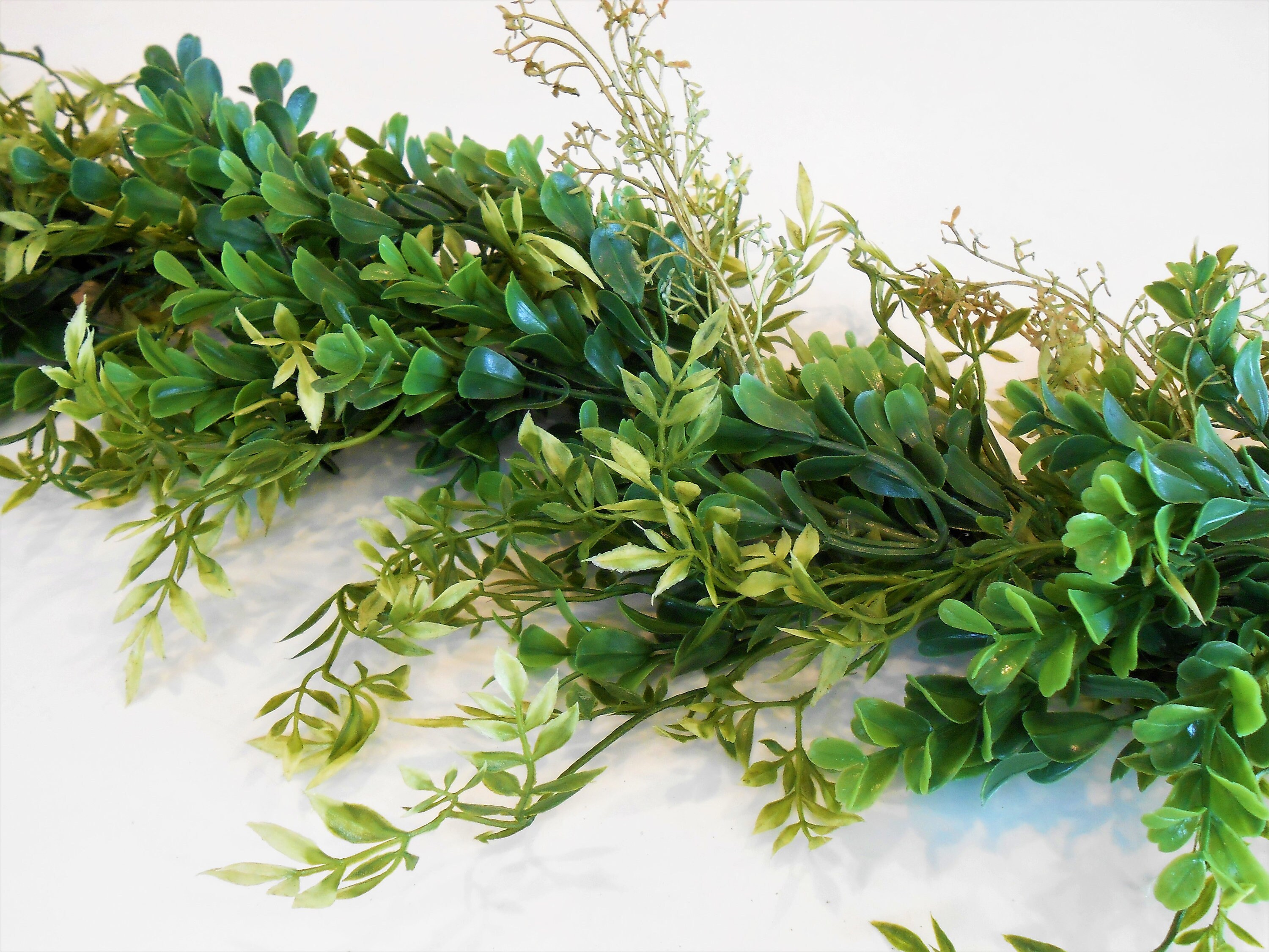 Boxwood Greenery Garland / Ficus Greenery Garland / Wild | Etsy