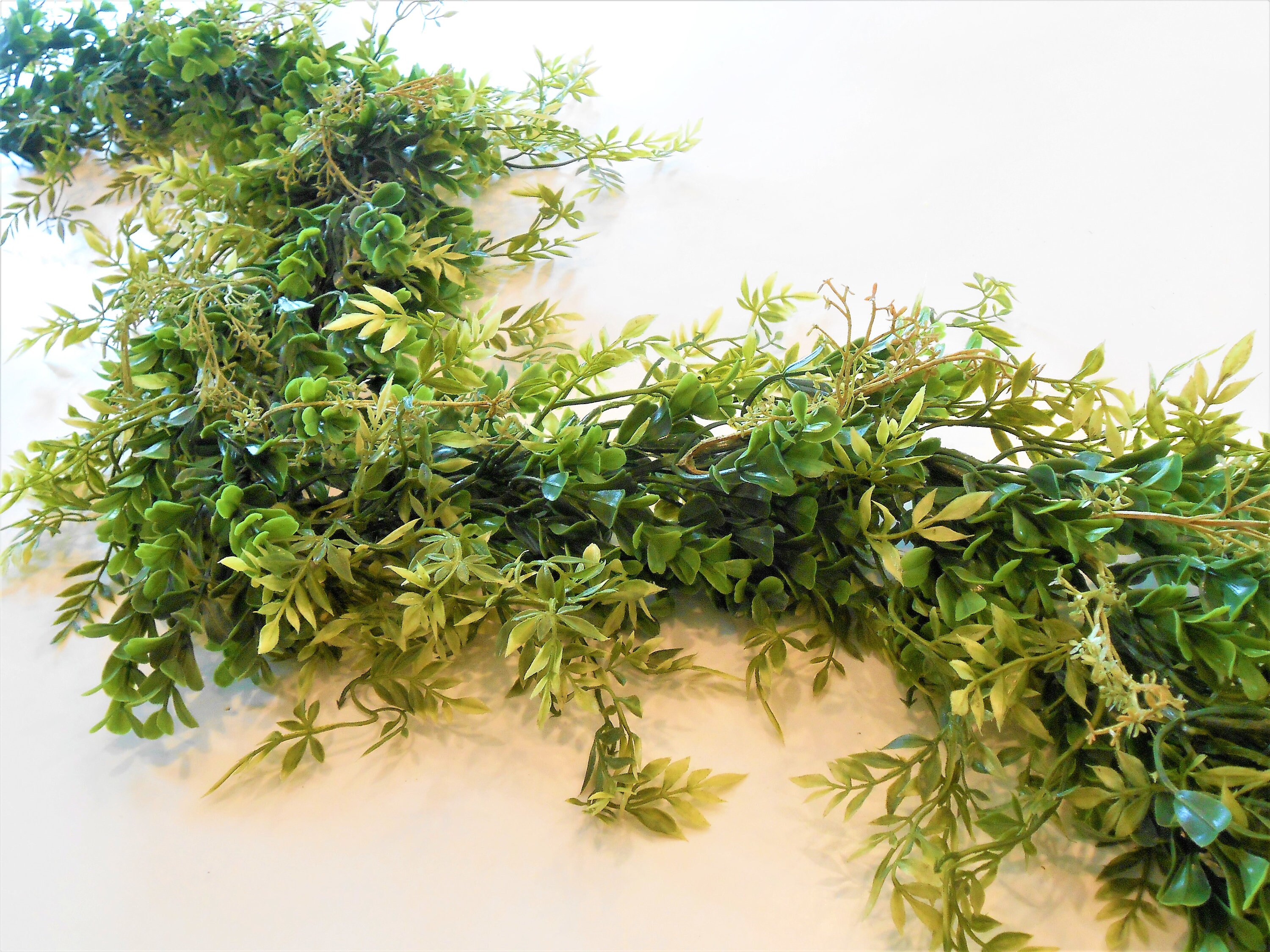 Boxwood Greenery Garland / Ficus Greenery Garland / Wild | Etsy