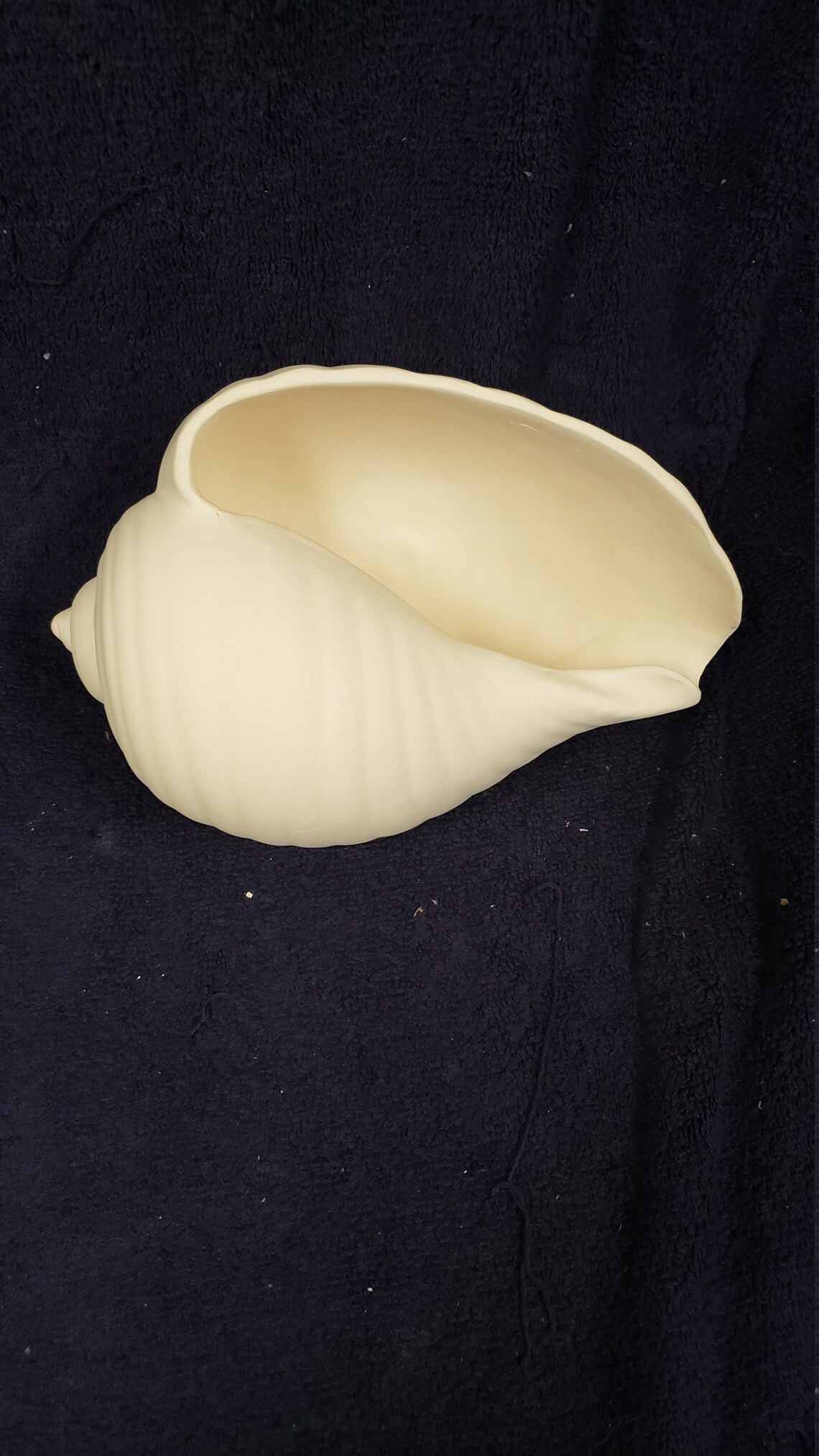 Gare L999 Conch Shell Bisqueready to Paint - Etsy