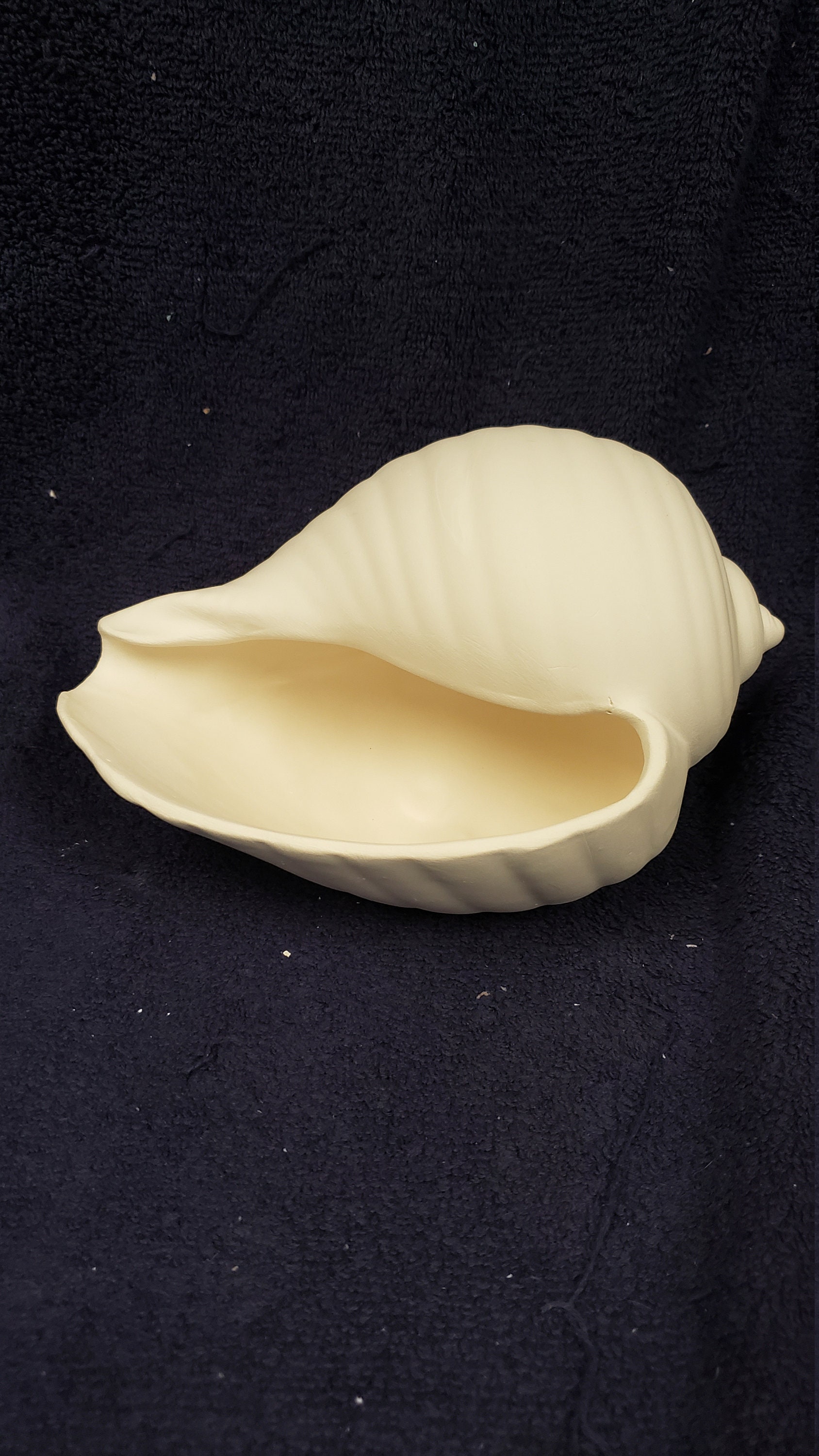 Gare L999 Conch Shell Bisqueready to Paint - Etsy