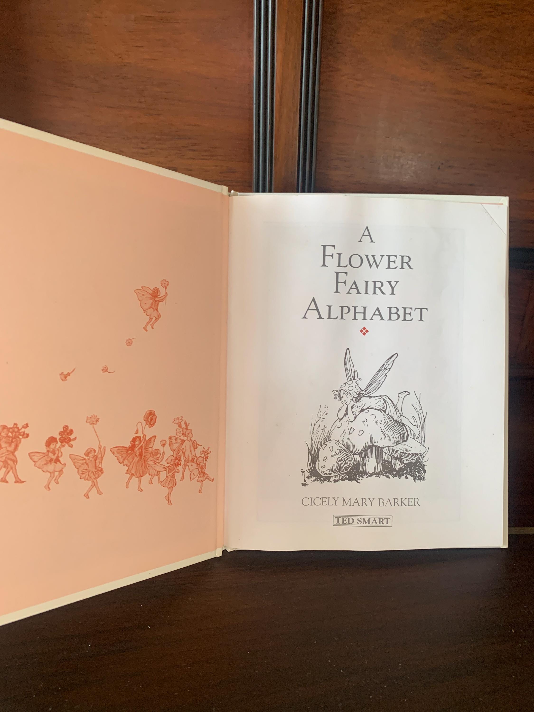 Vintage, 1999, A Flower Fairy Alphabet, Illustrated, Hard Back ...