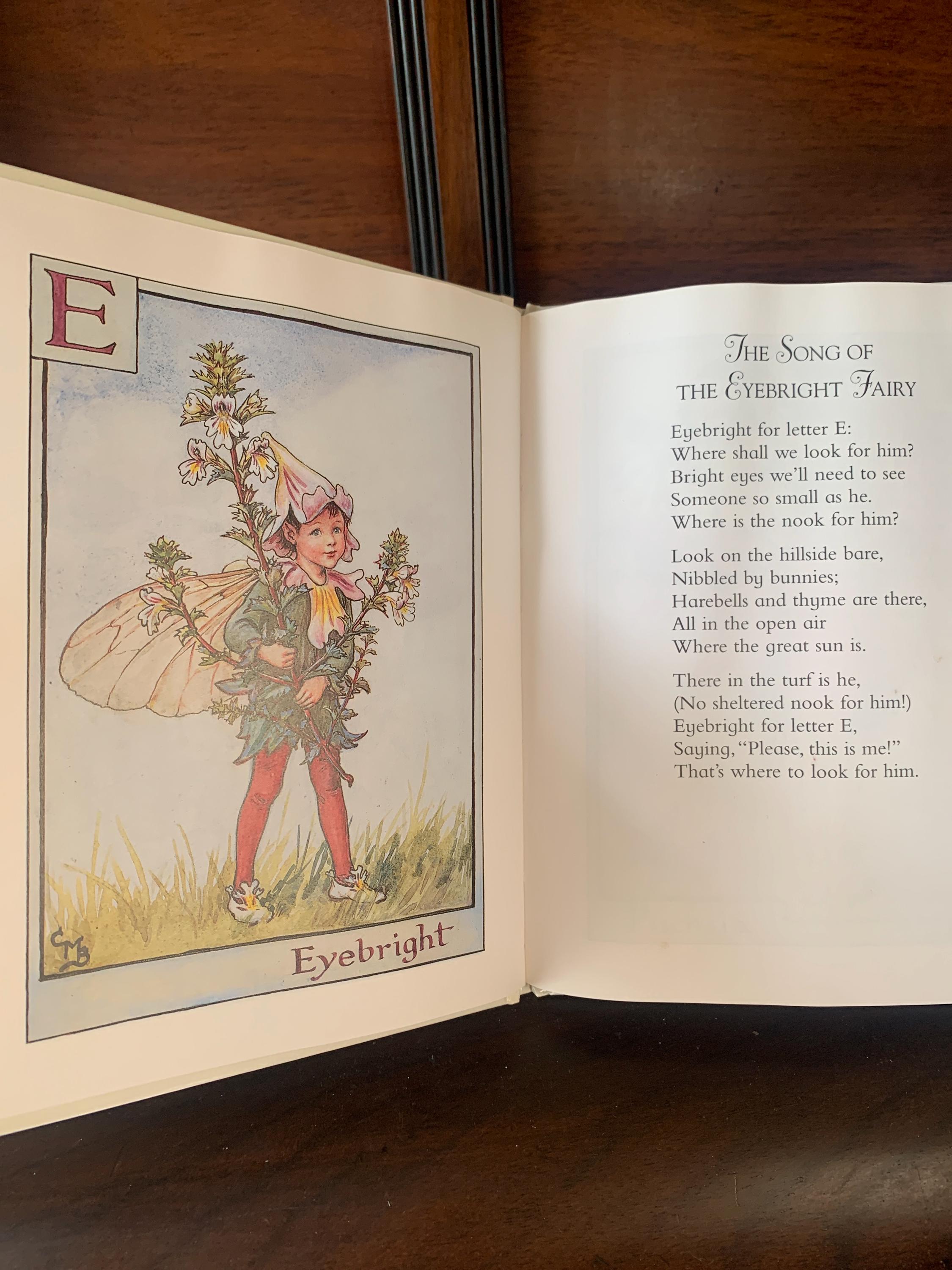 Vintage, 1999, A Flower Fairy Alphabet, Illustrated, Hard Back ...