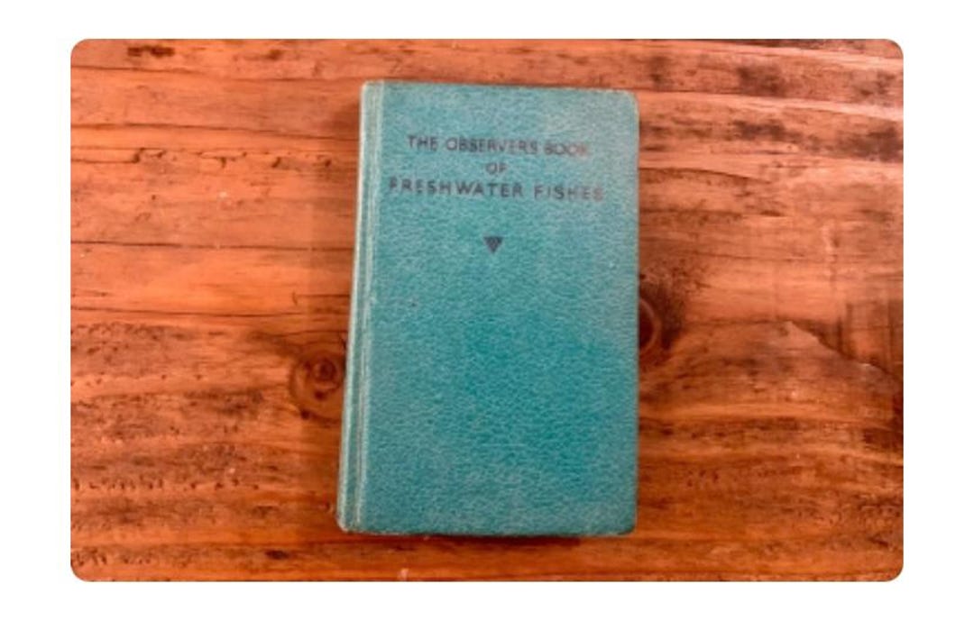 Vintage, 1959, BBC, the Observer’ Book of Freshwater Fishes, A Laurence ...
