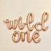 Wild One Gold Script Letter Balloonsfirst Birthday | Etsy