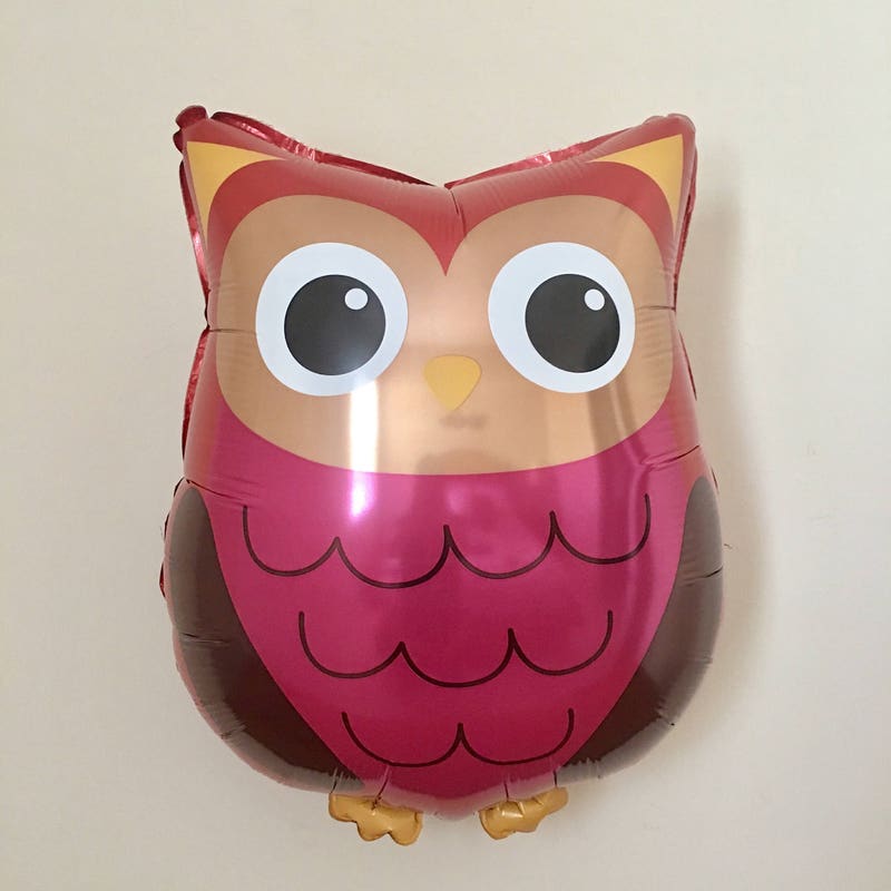 Owl Balloons - Etsy