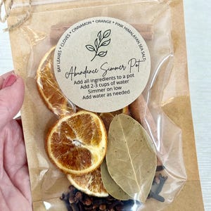 Abundance Simmer Pot Kit~create a Warm, Inviting Atmosphere That ...
