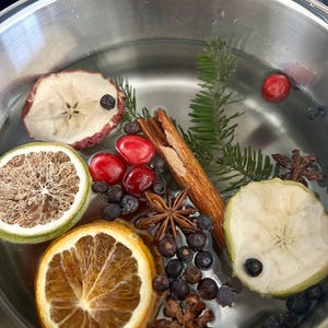 Abundance Simmer Pot Kit~create a Warm, Inviting Atmosphere That ...