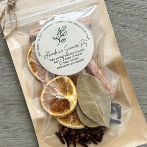 Abundance Simmer Pot Kit~create a Warm, Inviting Atmosphere That ...