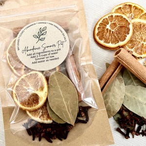 Abundance Simmer Pot Kit~create a Warm, Inviting Atmosphere That ...