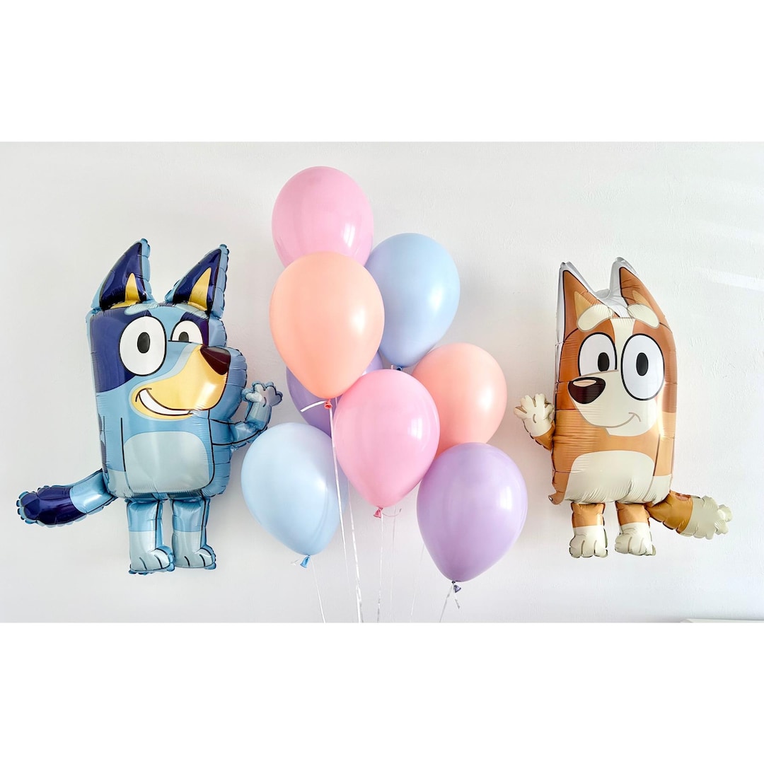 Bluey and Bingo Balloon Set: Puppy Party Decor - Etsy