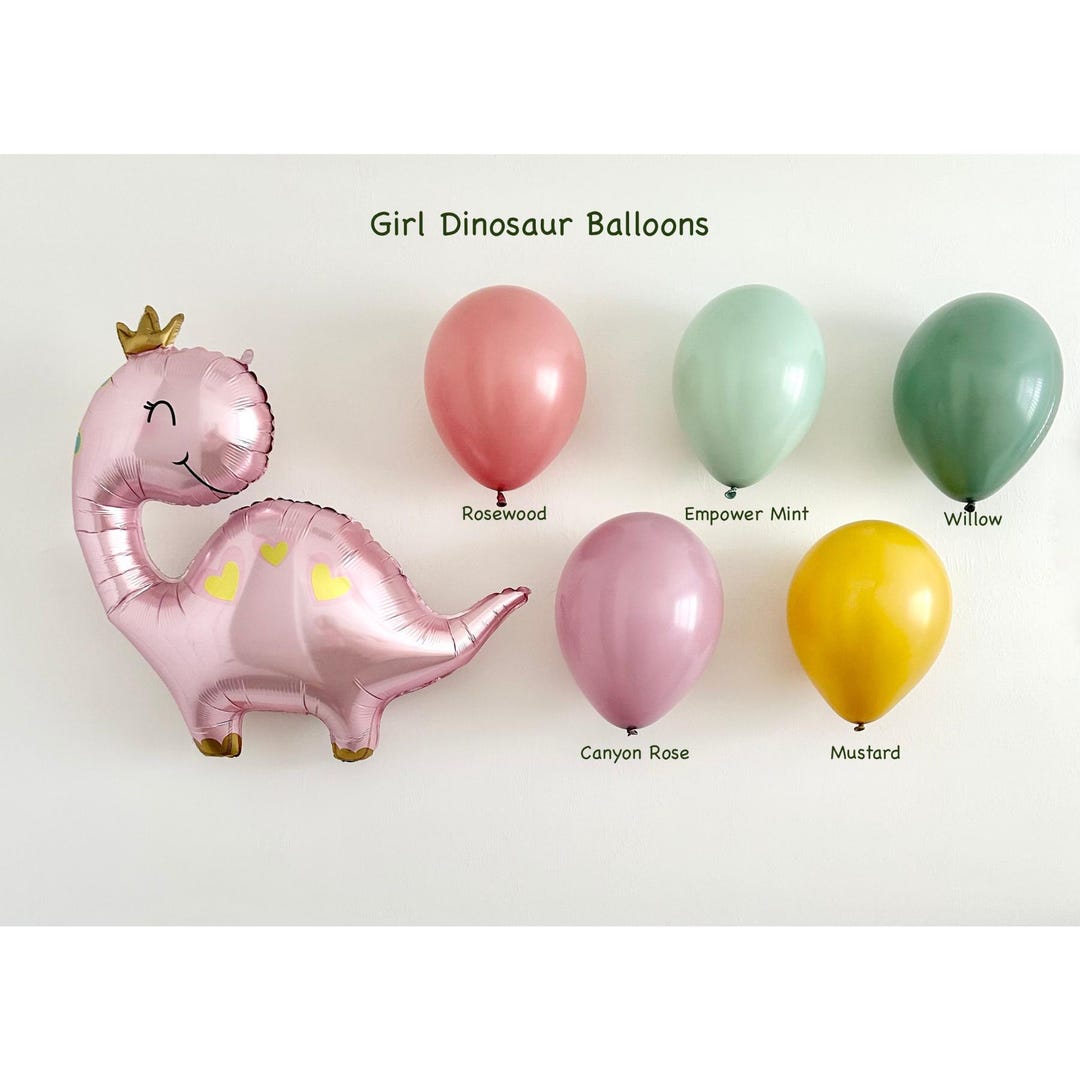 Pink Dinosaur Balloonroar I'm 4stomp Chomp ...