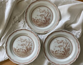 1913 Furnivals Quail | Etsy