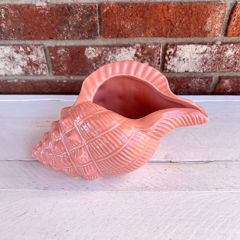 Conch Shell Planter - Etsy