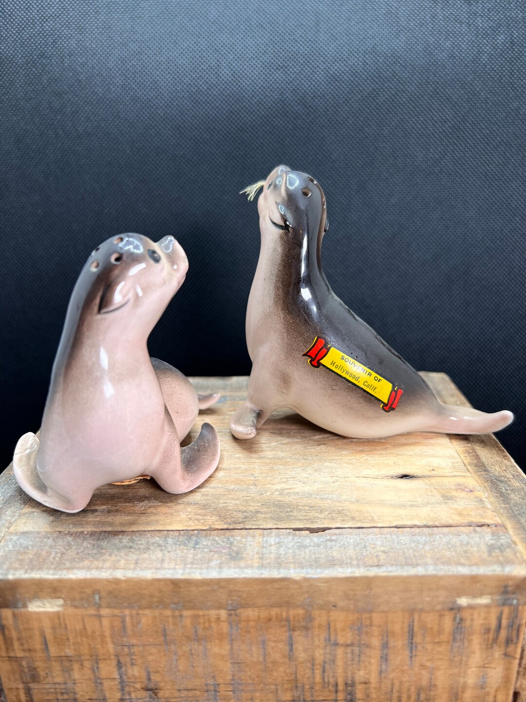 Vintage Ceramic Seal or Sea Lion Salt and Pepper Shakers With Whiskers ...