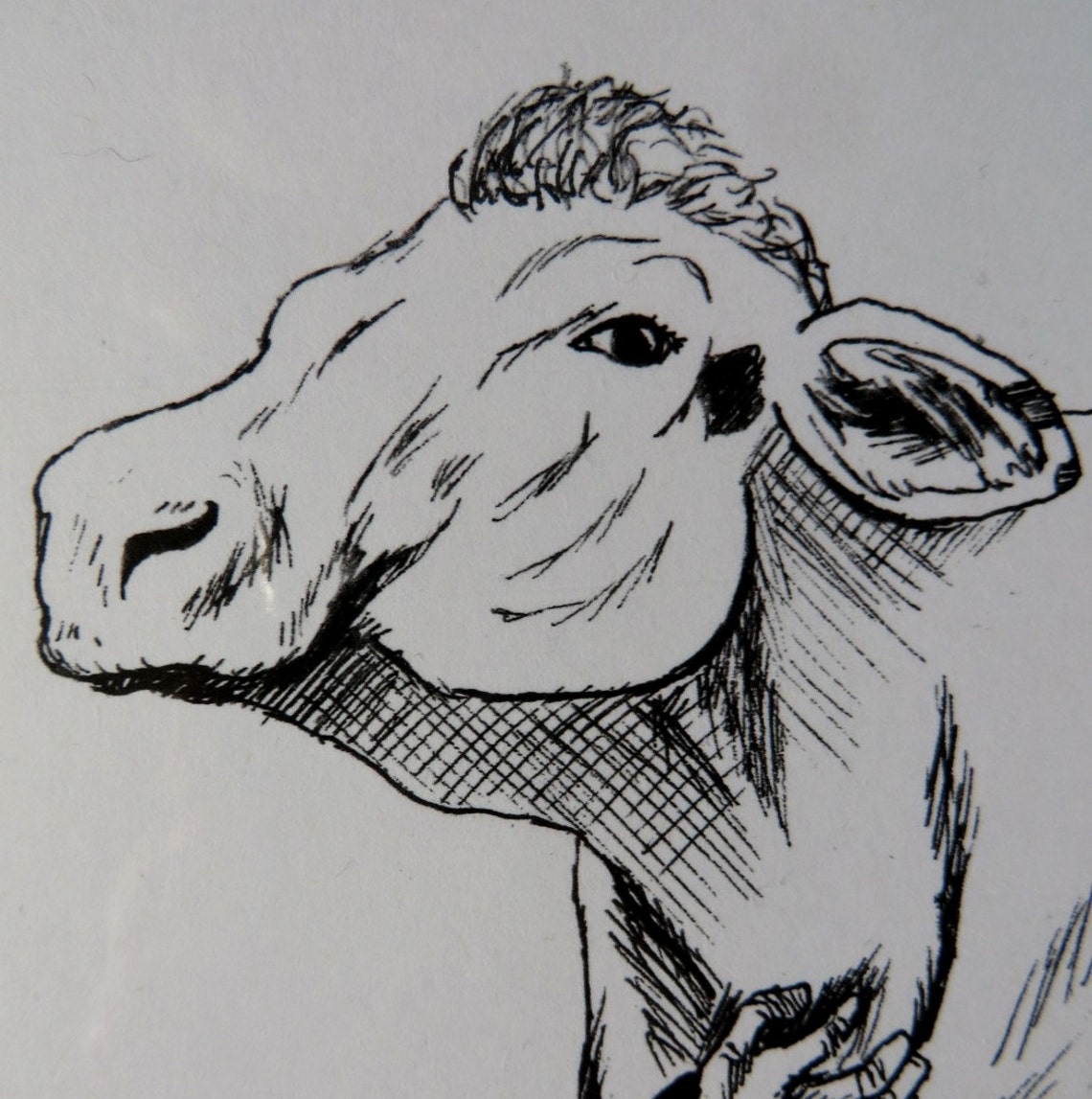 Top Secret Cow | Etsy