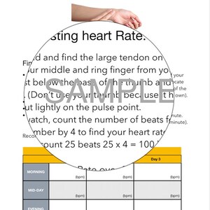 Heart Rate Fitness Lab, Exercise Log, Cardiovascular Fitness, Fitness ...